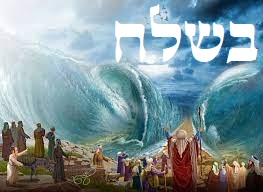 Parasha - 78 Bechala'h 5783 - Dvar Torah