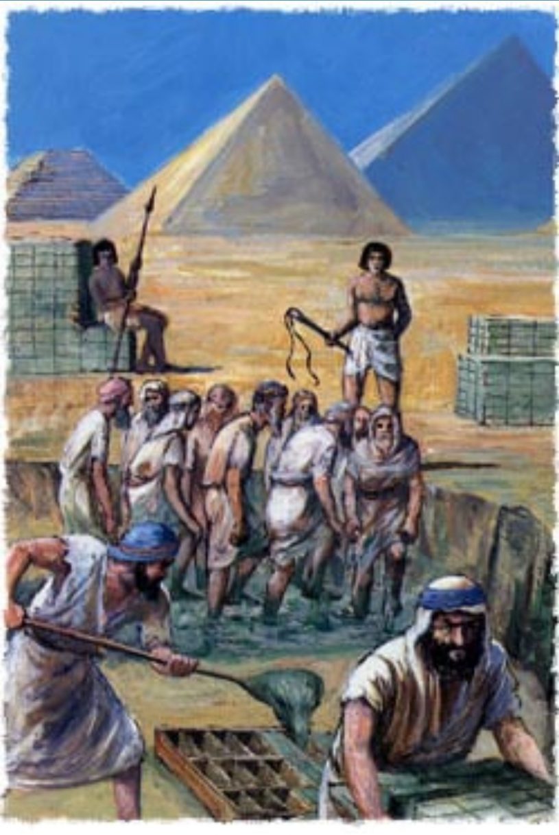 Parasha - 186 - Vaéra 5785 - Dvar Torah